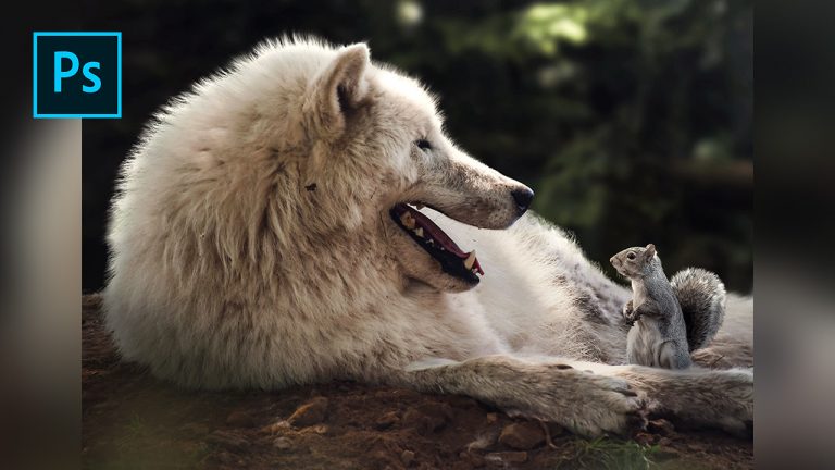 Fairy Tale Book Manipulation in Photoshop – Zenzdesign