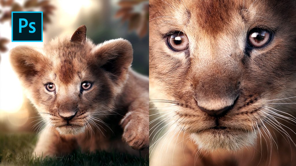 Fairy Tale Book Manipulation in Photoshop – Zenzdesign