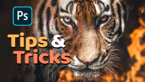 Fairy Tale Book Manipulation in Photoshop – Zenzdesign